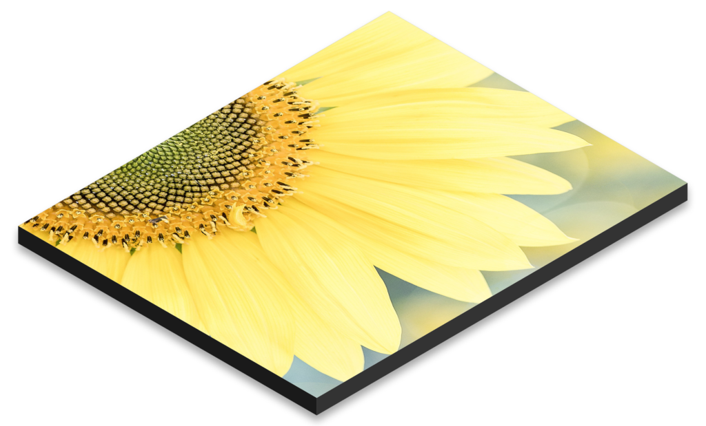 Border Colors – CanvasHQ